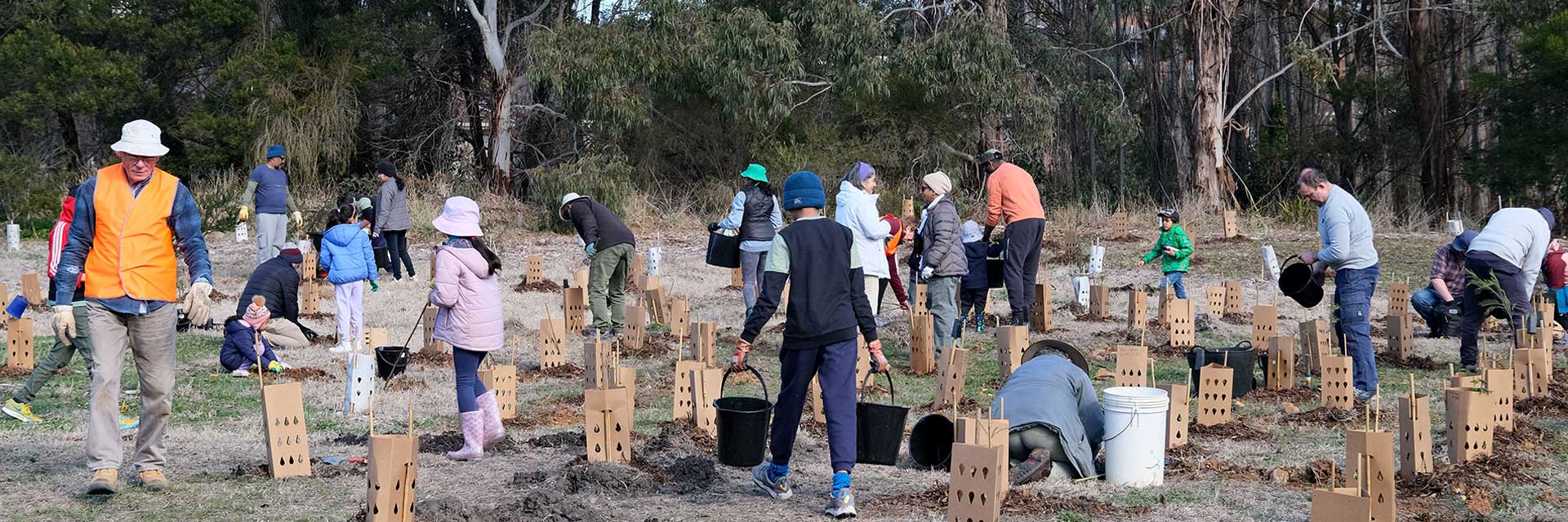 Volunteering Policy 2025 | Your Voice QPRC